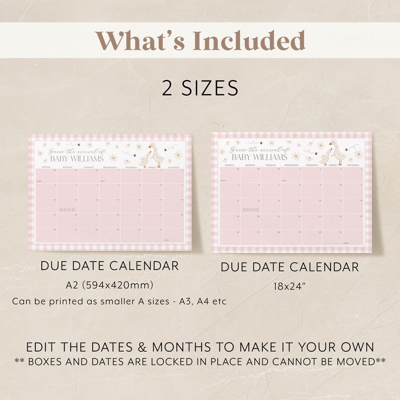 Pink Goose Baby Shower Due Date Calendar Printable (A2, 18x24") - Etsy