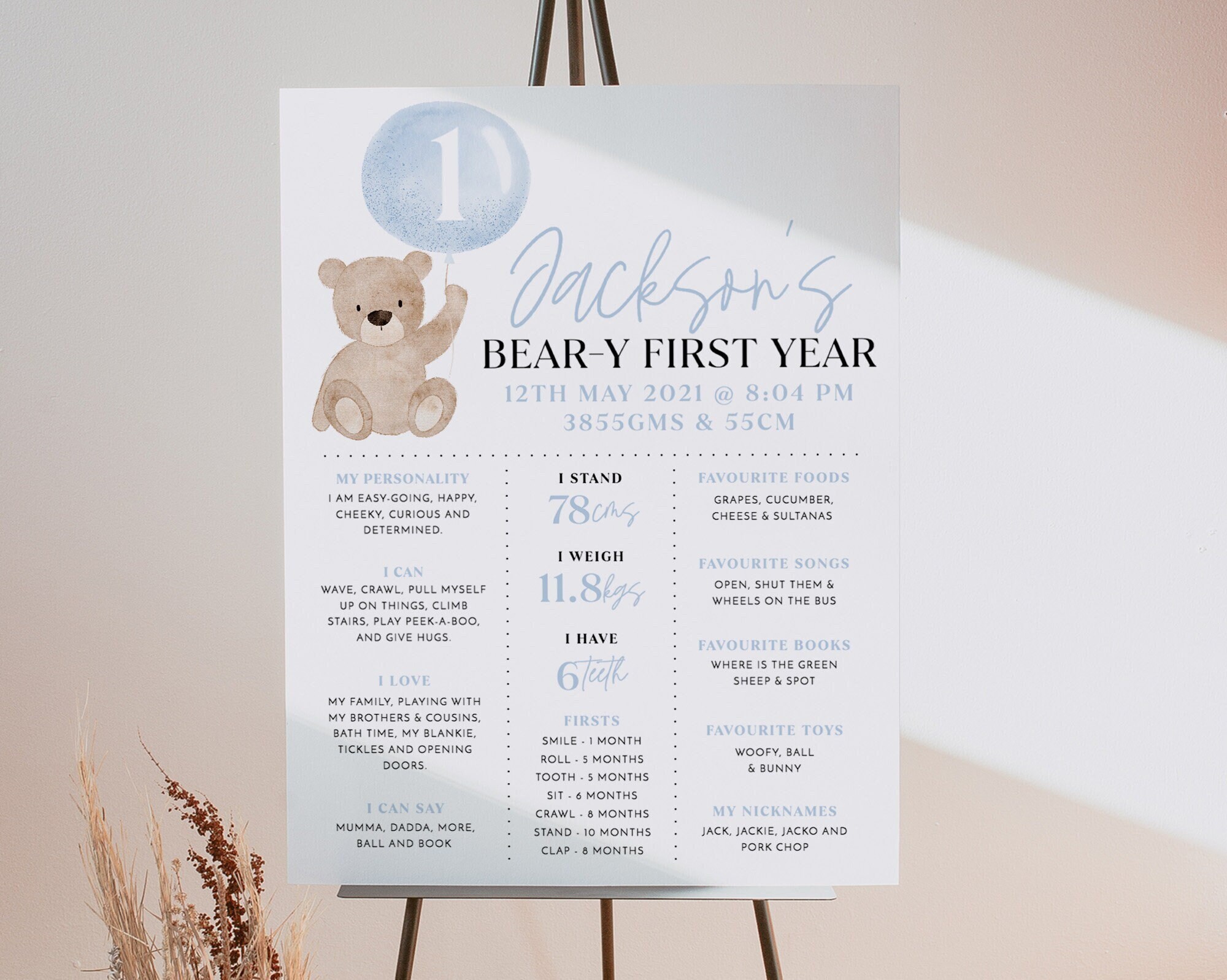 Beary First Birthday Milestone Sign Bear 1st Birthday - Etsy