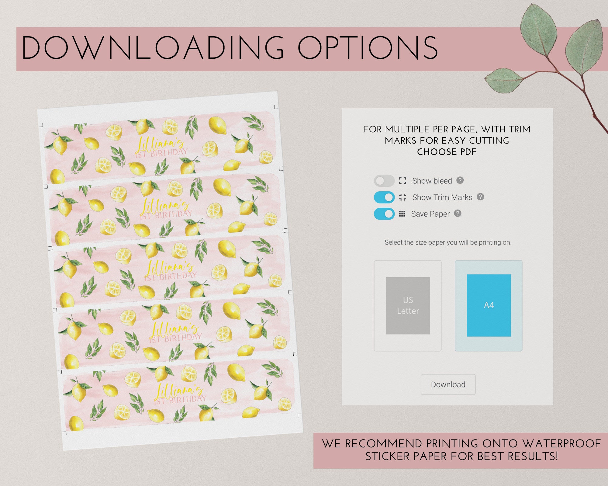 Lemon Water Bottle Labels Pink Lemonade Water Labels - Etsy