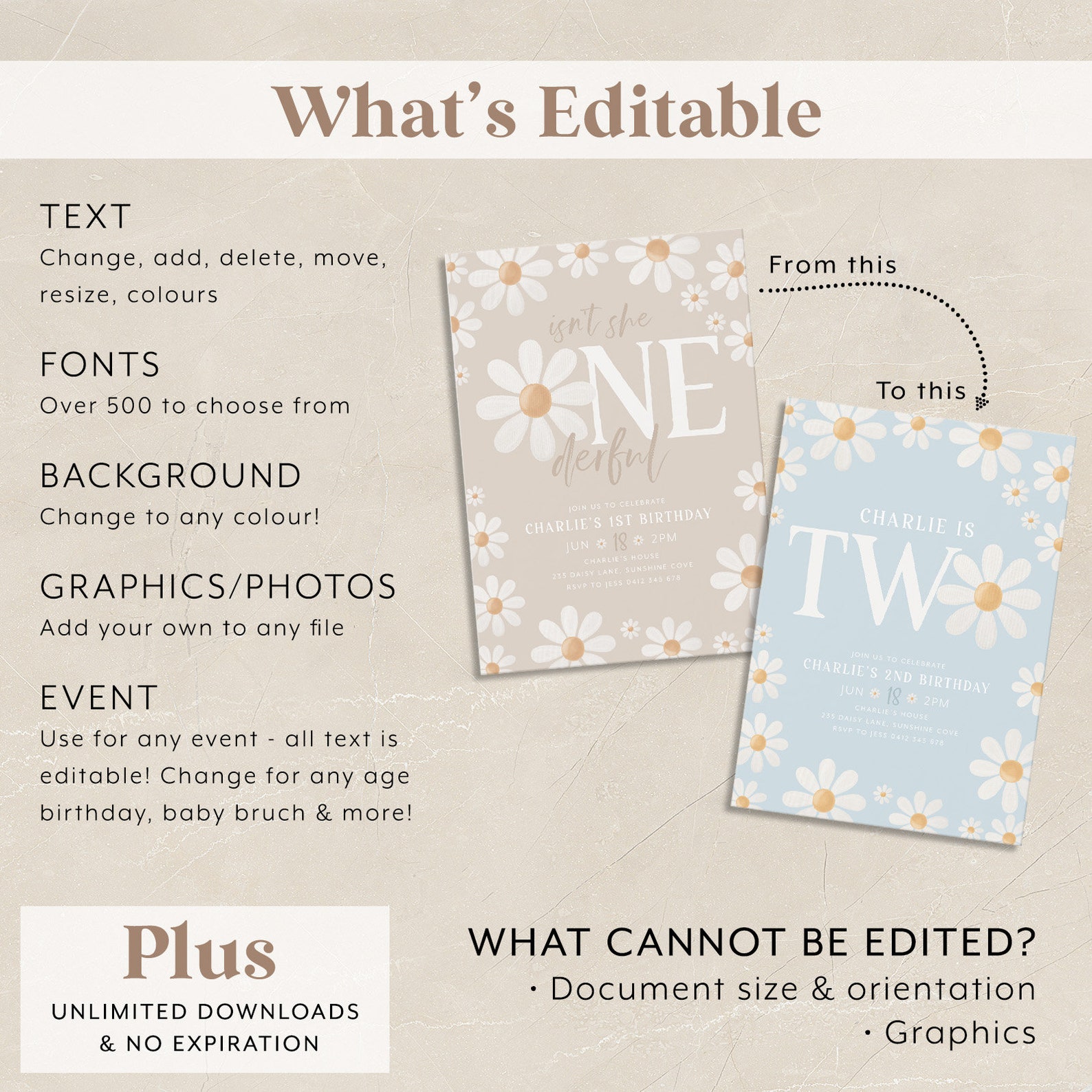 Daisy Birthday Banner, Daisy Flower Happy Birthday Banner Printable ...