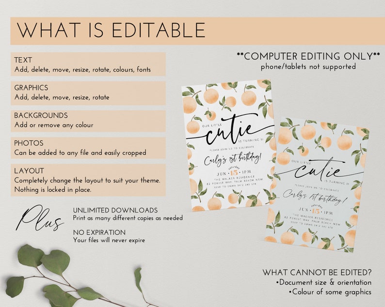 Orange Cupcake Toppers Printable Cupcake Topper Oranges - Etsy