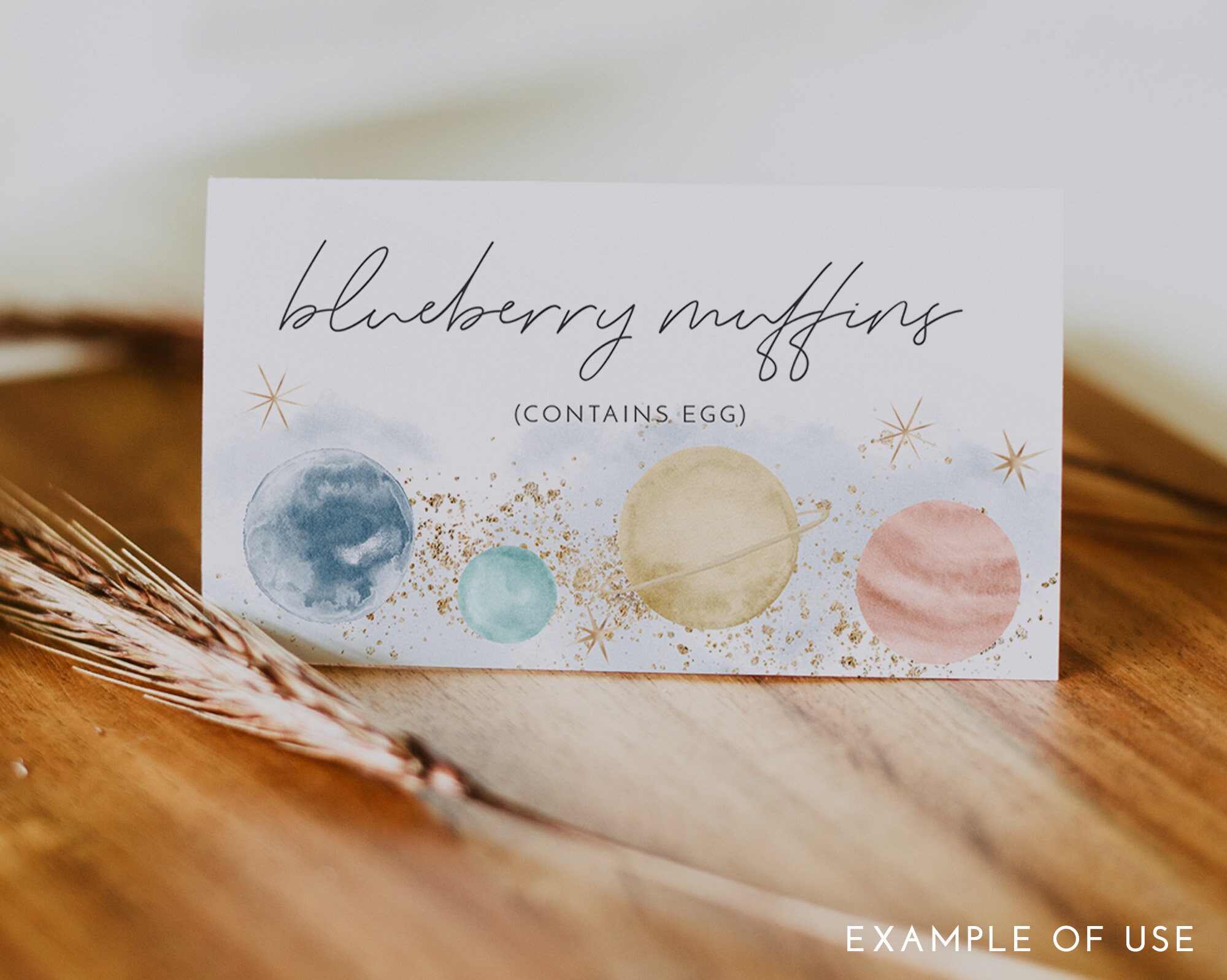 First Trip Around the Sun Food Labels, Space Food Label Card, Food Tent ...