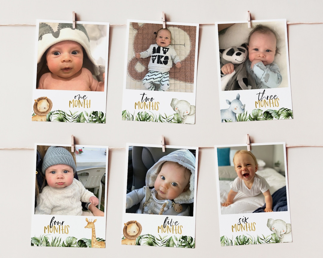 First Year Photos, 1st Birthday Milestone Photo, Baby's First Year ...