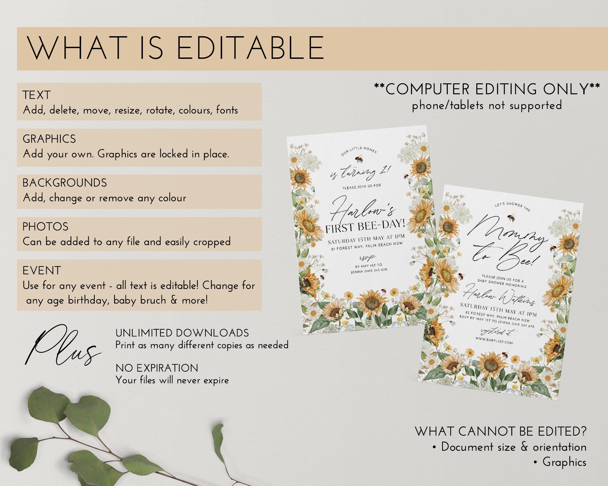 Bee Time Capsule, Sunflower 1st Birthday Time Capsule Sign, Birthday ...