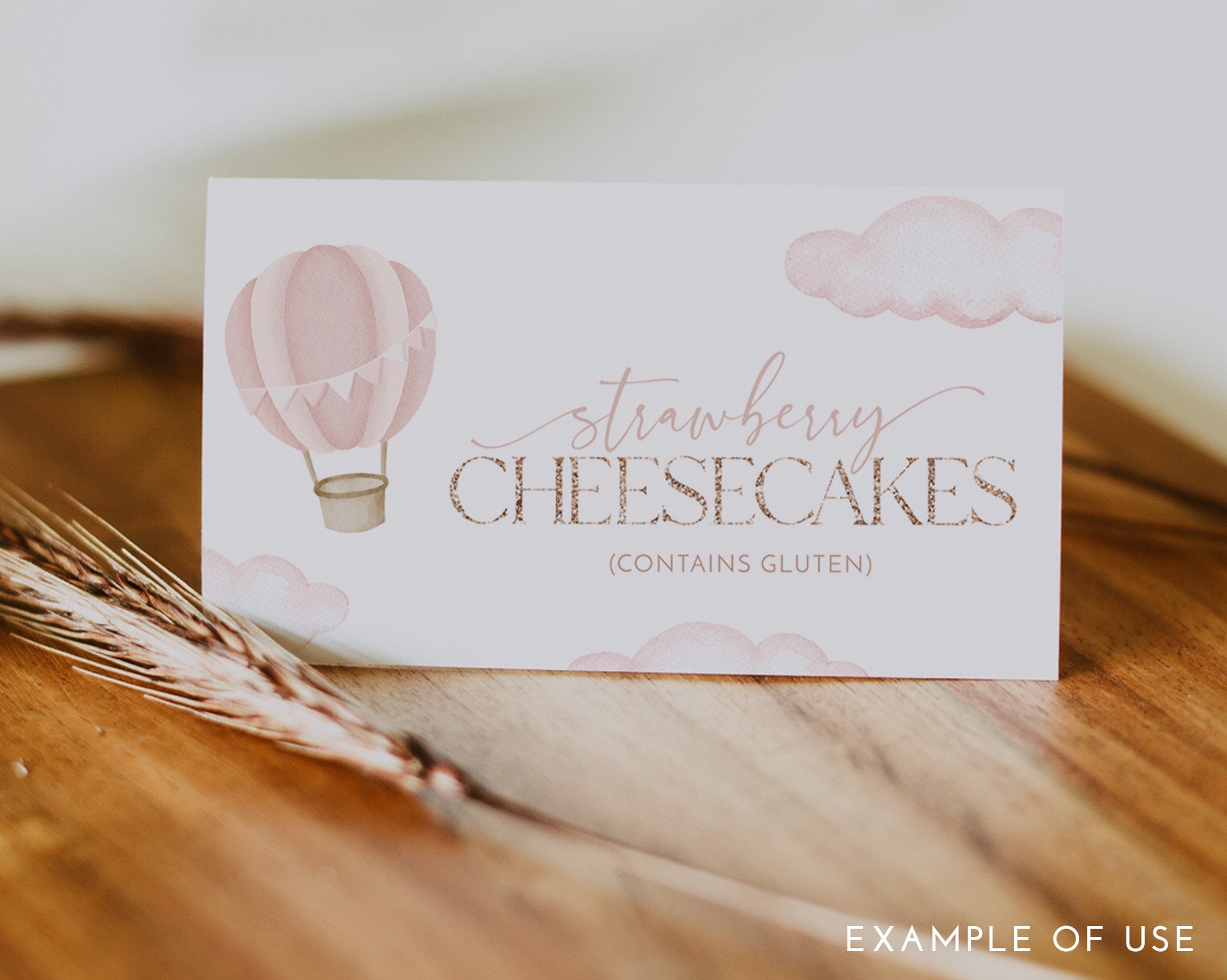 Hot Air Balloon Food Labels Onederful Food Label Card Food | Etsy Canada