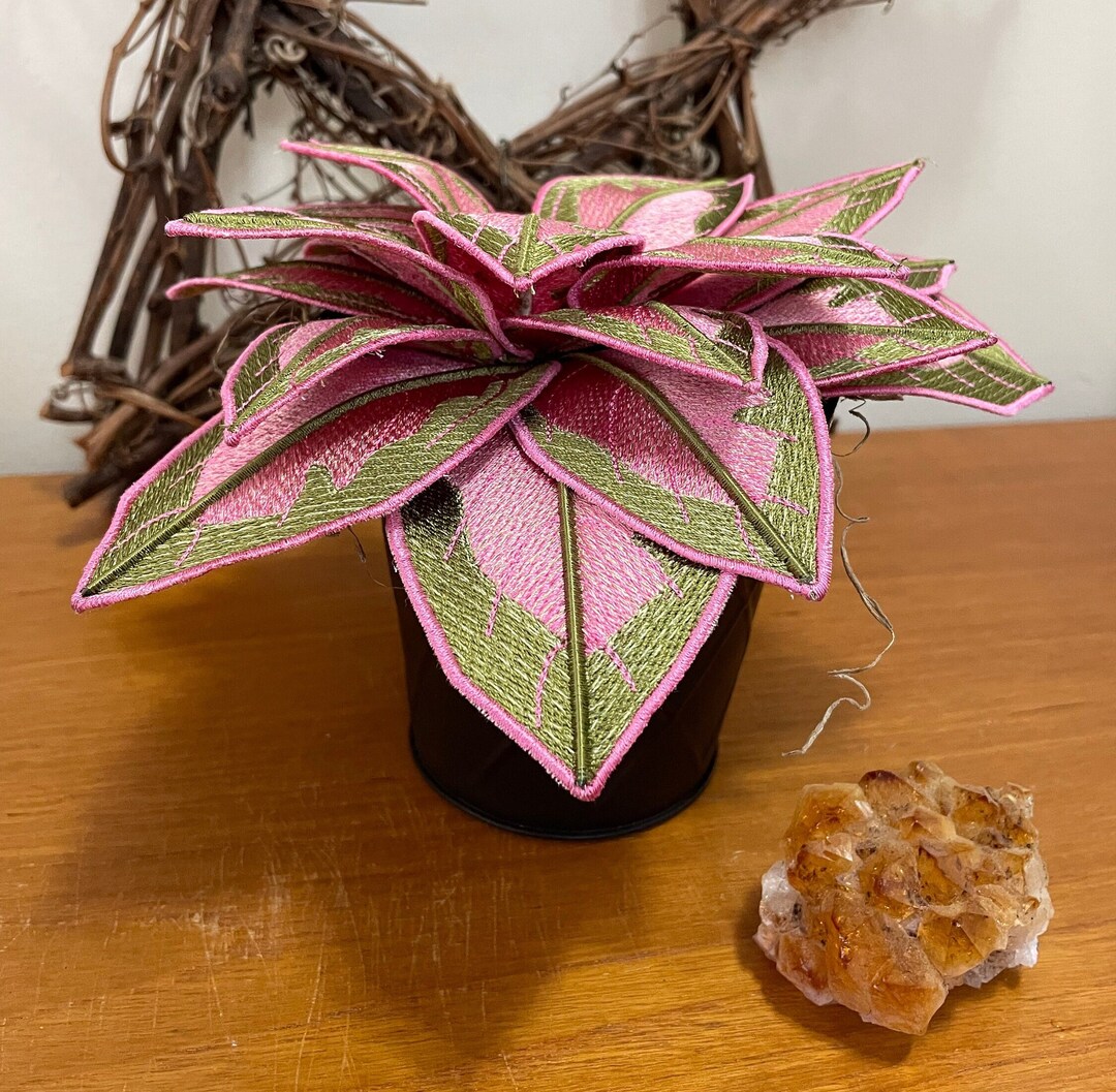Aglaonema Embroidered Plant - Etsy