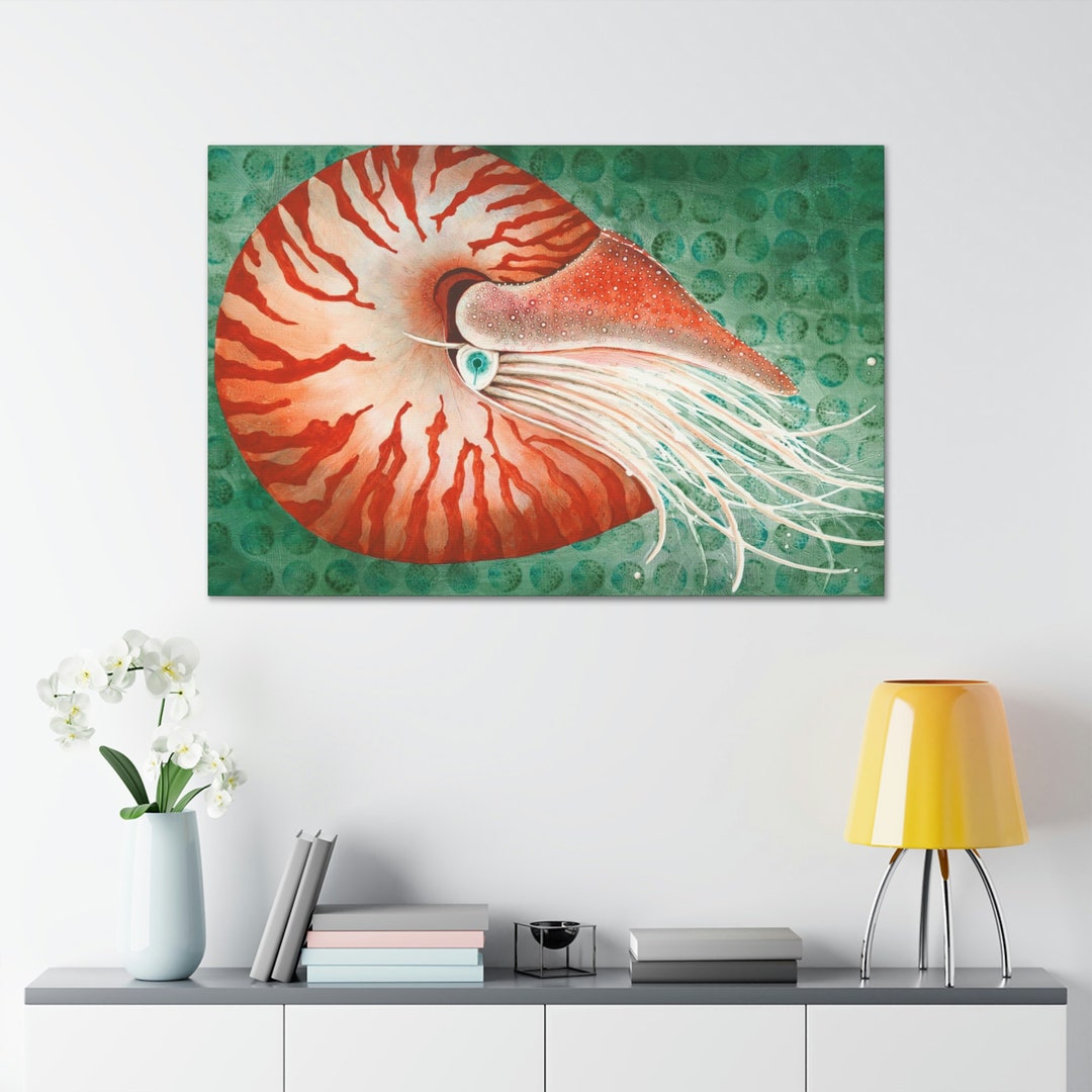 Shy Captain - Nautilus Canvas Gallery Wrap, Nautilus Print, Ocean ...