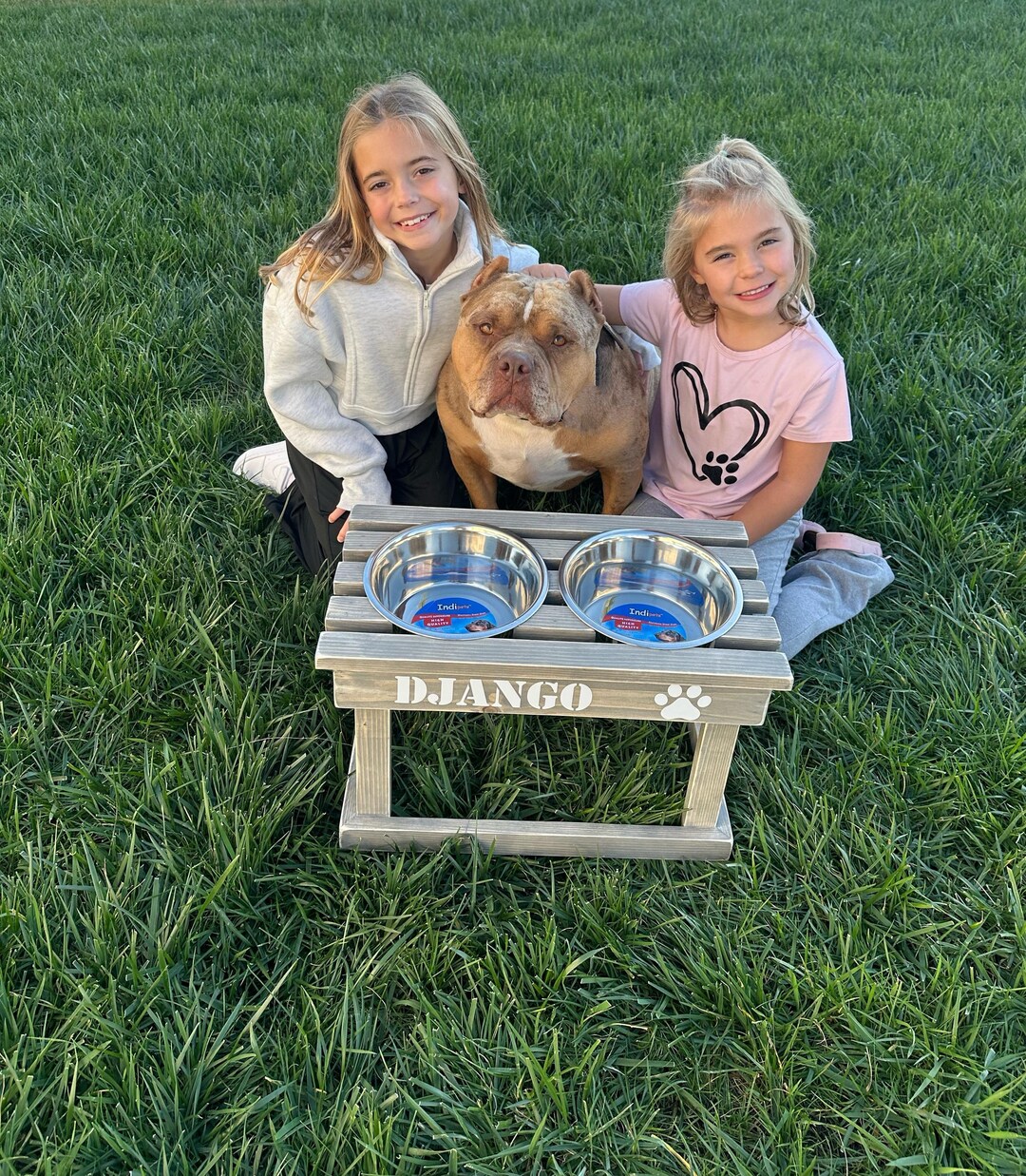 Personalized Stained Double Dog Bowl Stand: Elevated Feeder - Etsy
