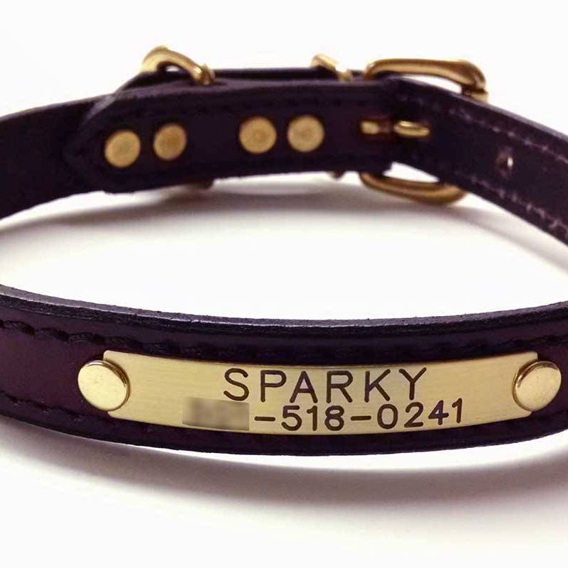 Brass Dog Collar - Etsy