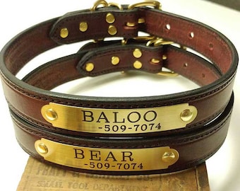 Brass Dog Collar | Etsy