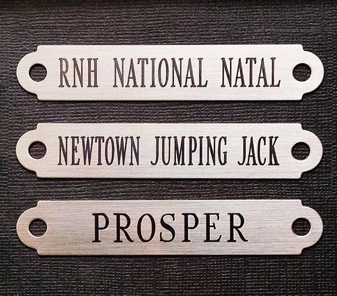 HALTER PLATE MEDIUM Solid Nickel Silver Custom Engraved Horse or Pet ...