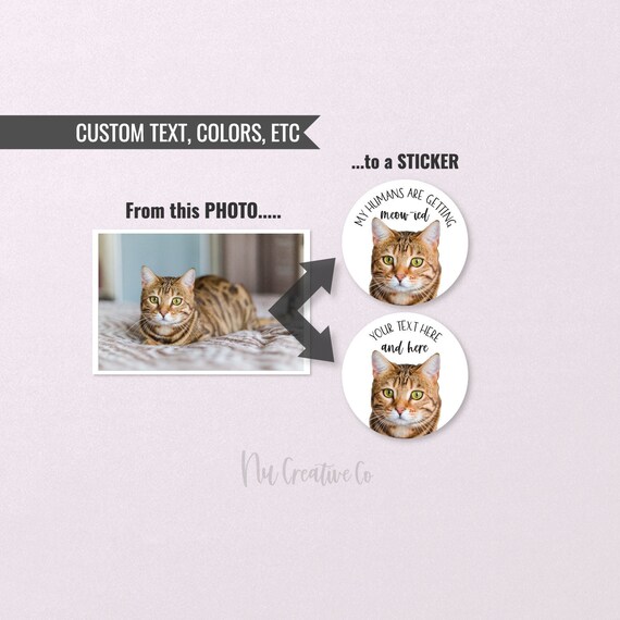 Cat Pet Custom Sticker Kitten Label Custom Cat Sticker - Etsy