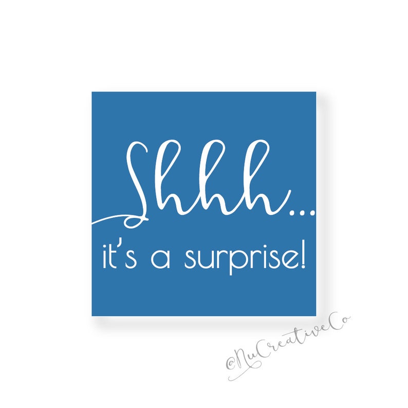 Shhh It's a Surprise Square Stickers Boy or Girl - Etsy
