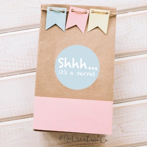 Shhh It's a Secret Stickers, Secret Surprise Stickers, Party Stickers ...