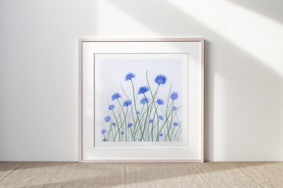 Blue Cornflowers Print, 6x6, 8x8, 10x10, 12x12, Giclee Print ...