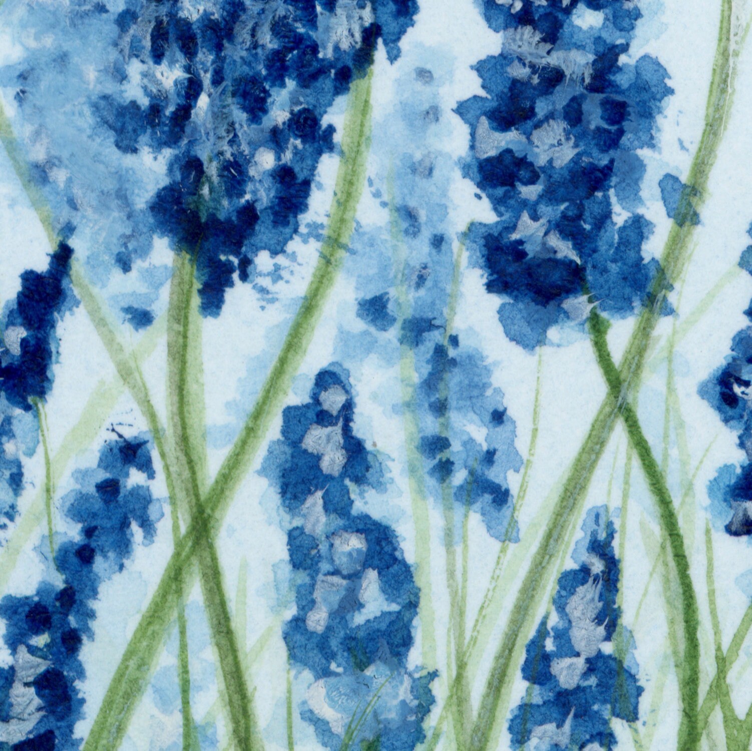 Blue Hyacinth Print, 6x6, 8x8, 10x10, 12x12, Giclee Print, Watercolor ...