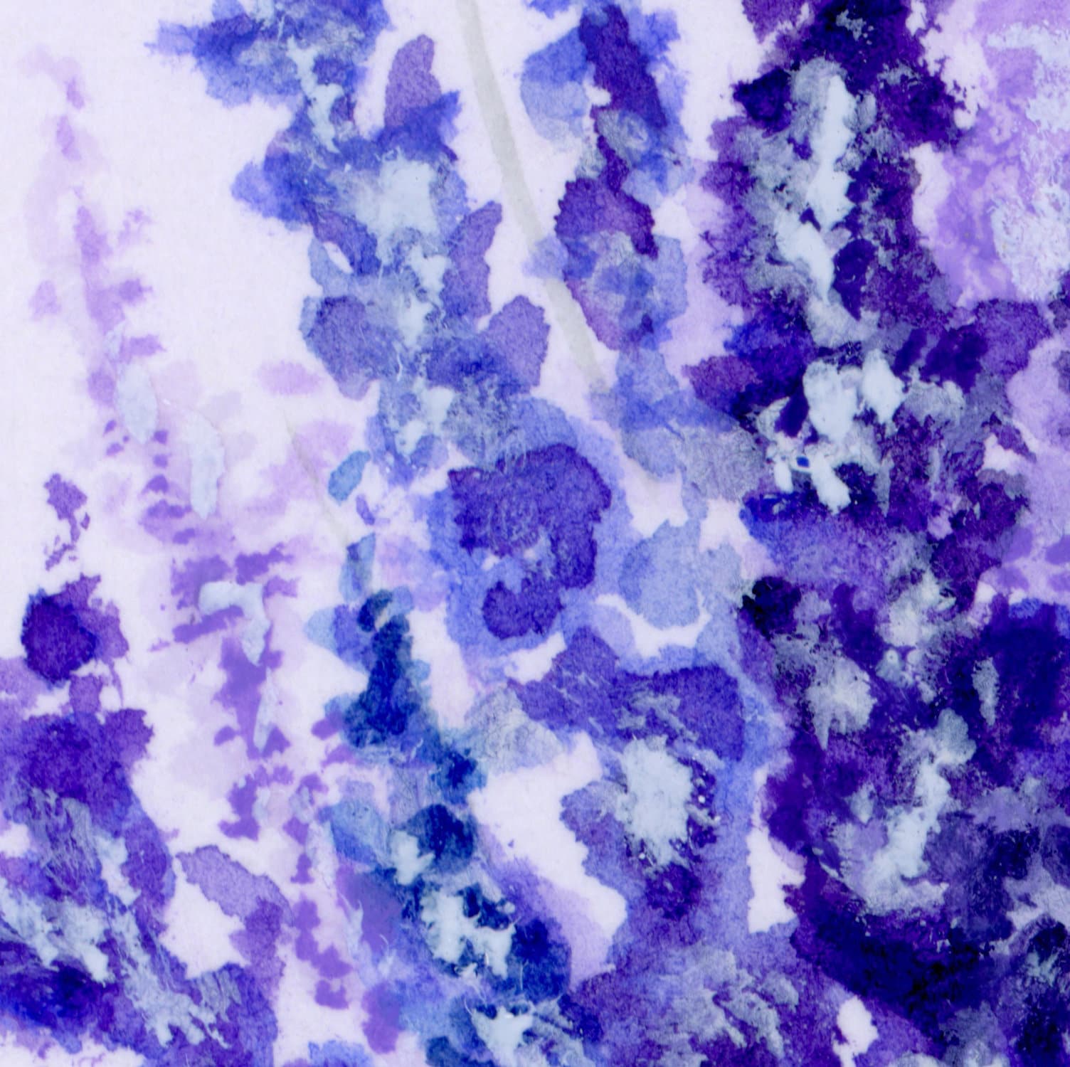 Lavender Bundle Print, 6x6, 8x8, 10x10, 12x12, Giclee Print, Watercolor ...
