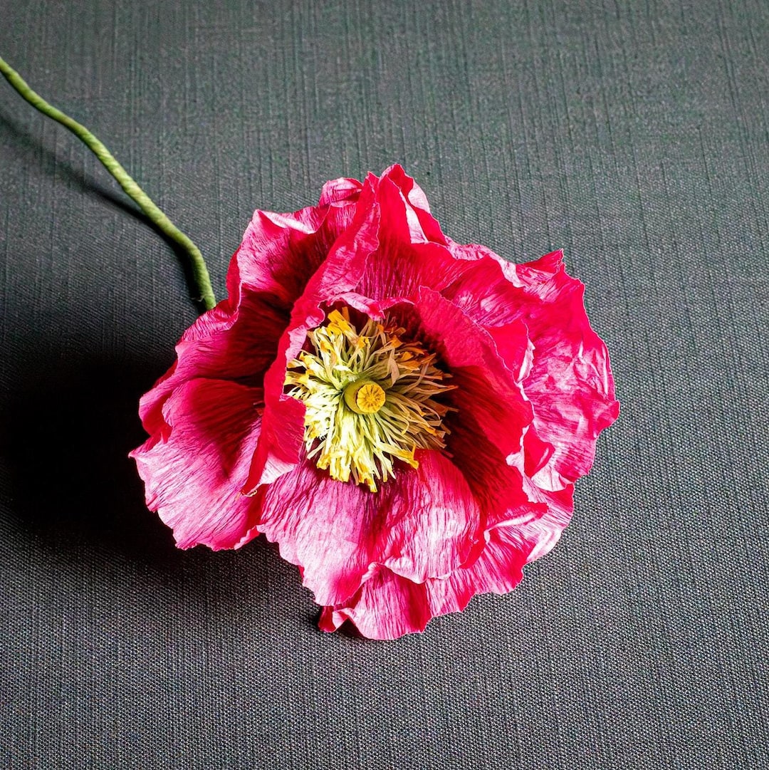 Crepe Paper Poppy Flowers/ Coral Pink Iceland Poppy - Etsy