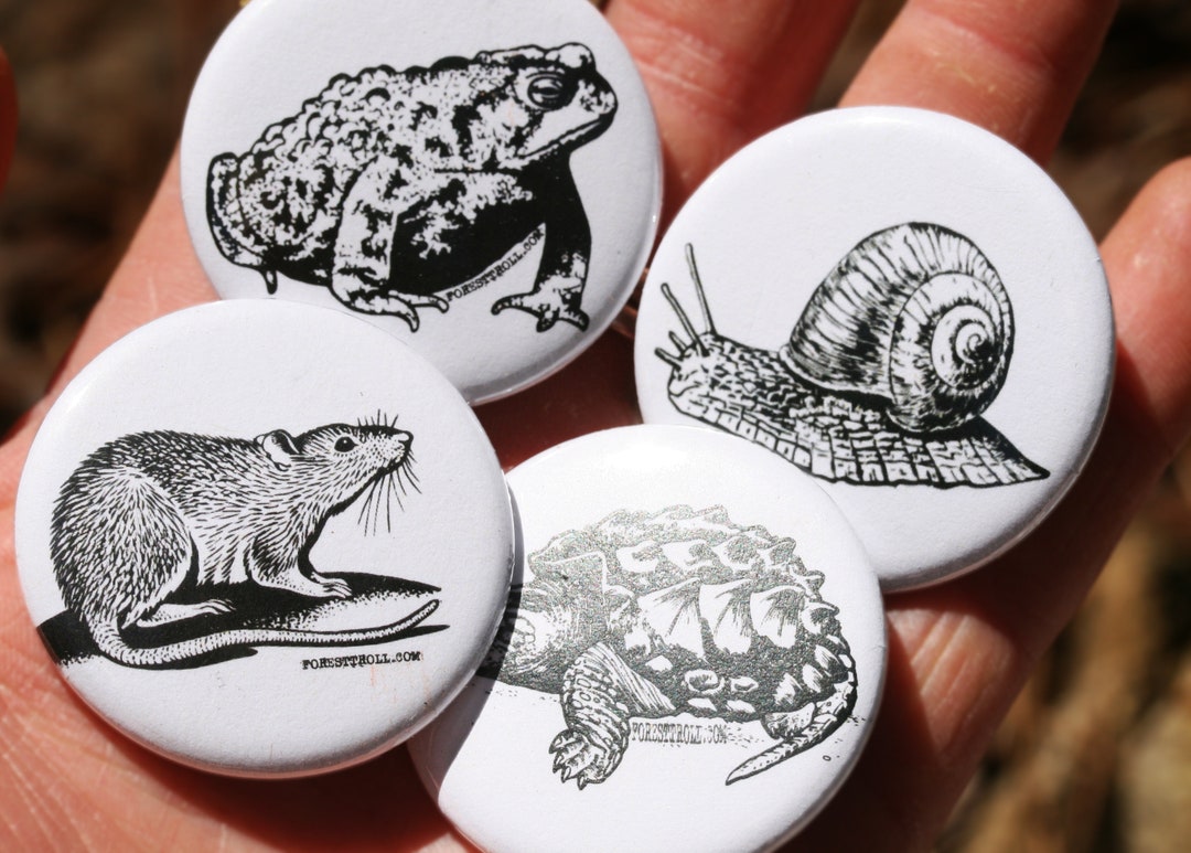 Small Creature Pins 1.5inch Goblincore Cryptid Woodland Toad - Etsy