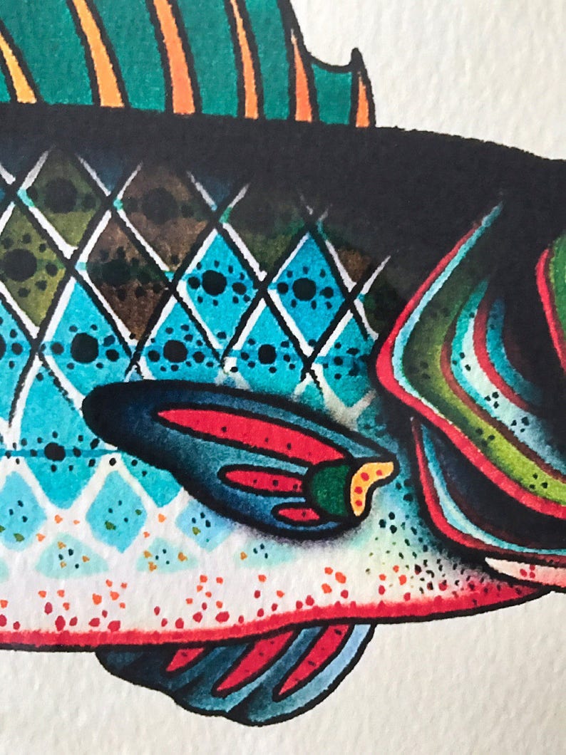 Striper Fish 11x14 Giclee Print of A Watercolor Painting for the ...