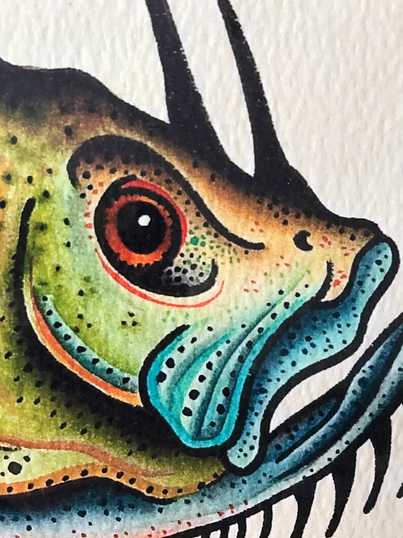 Monkfish Giclee Print of A Watercolor Painting 11"x14" for the Salt ...