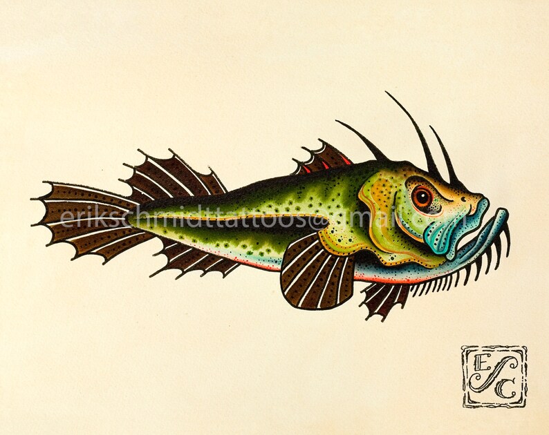 Monkfish Giclee Print of A Watercolor Painting 11"x14" for the Salt ...