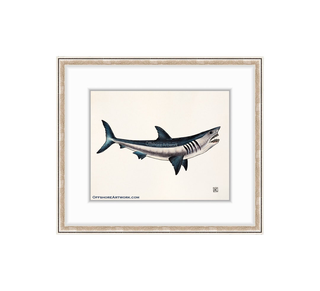 Mako Shark Giclee Print of a Watercolor Painting. Blue Pointer. Bonito ...