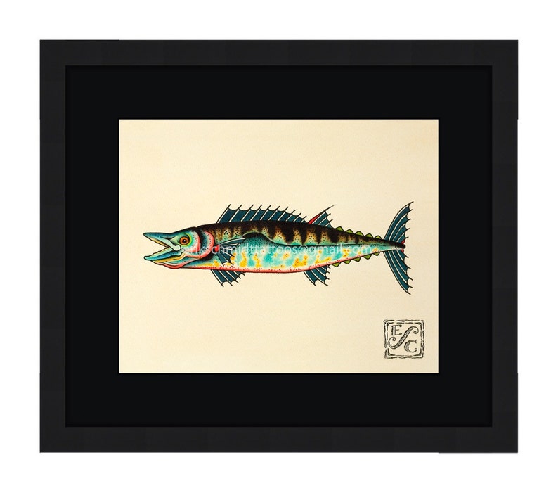 Wahoo 11"x14" Giclee Print of A Watercolor Painting for the Salt Water ...