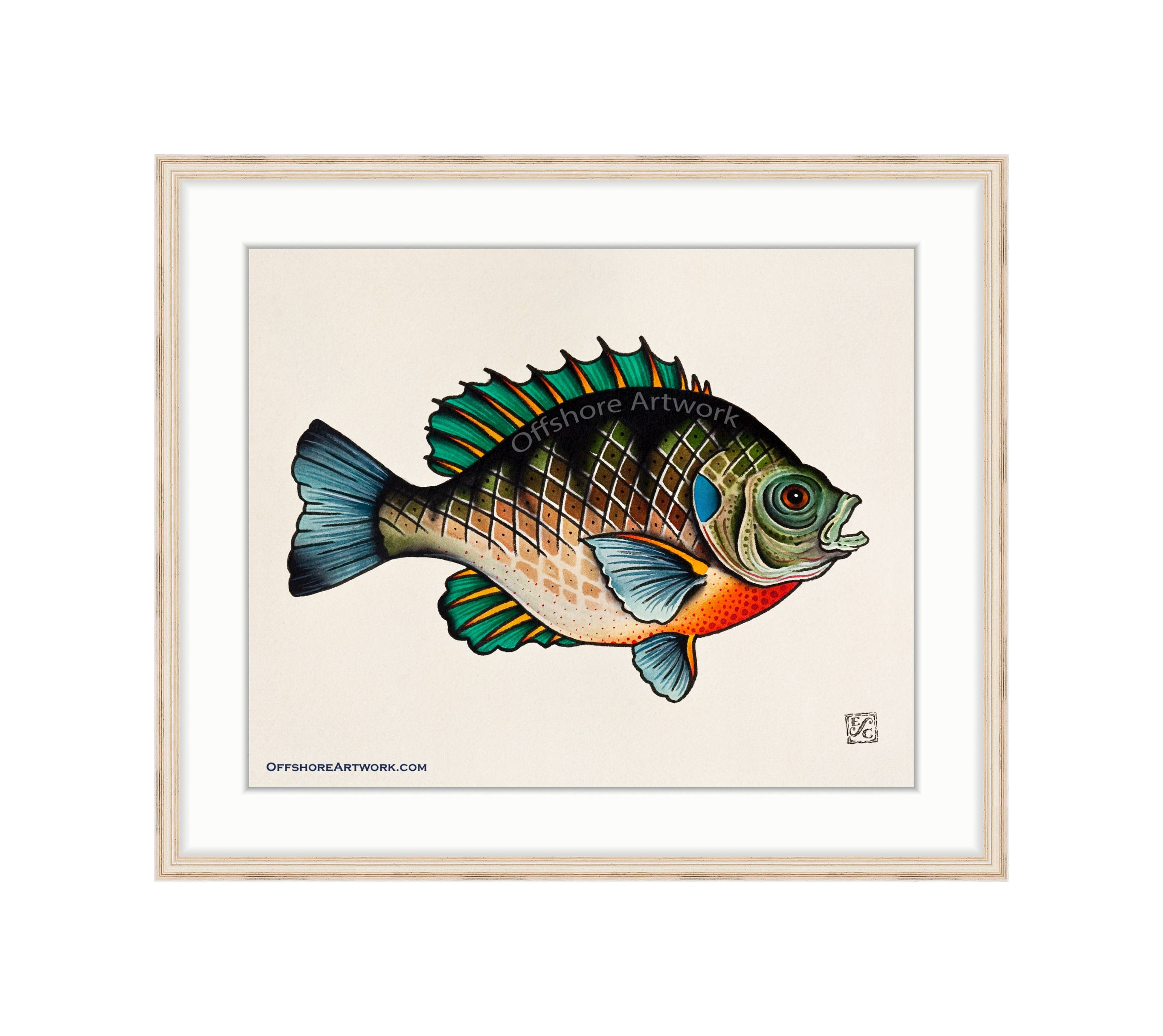 Bluegill Giclee Print of a Watercolor Painting 8"x10" for the ...