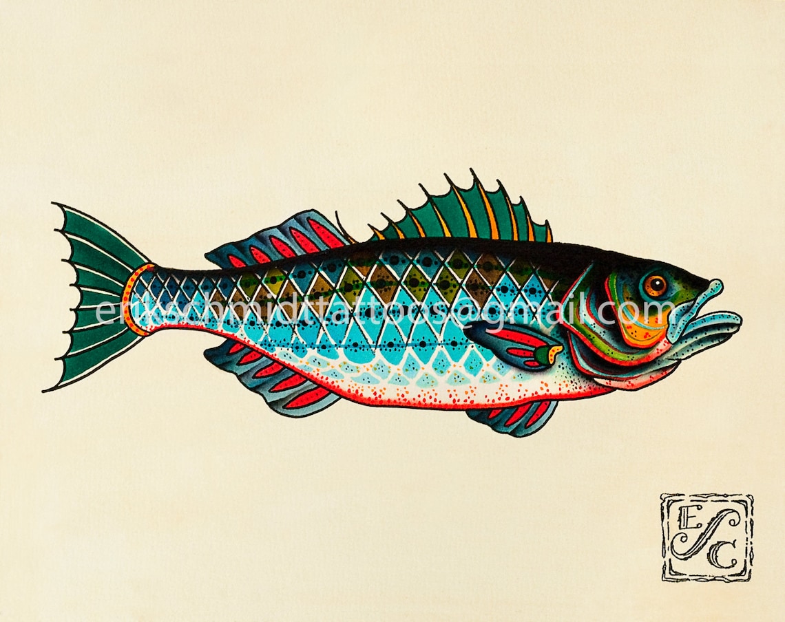 Striper Fish 11x14 Giclee Print of A Watercolor Painting for the ...