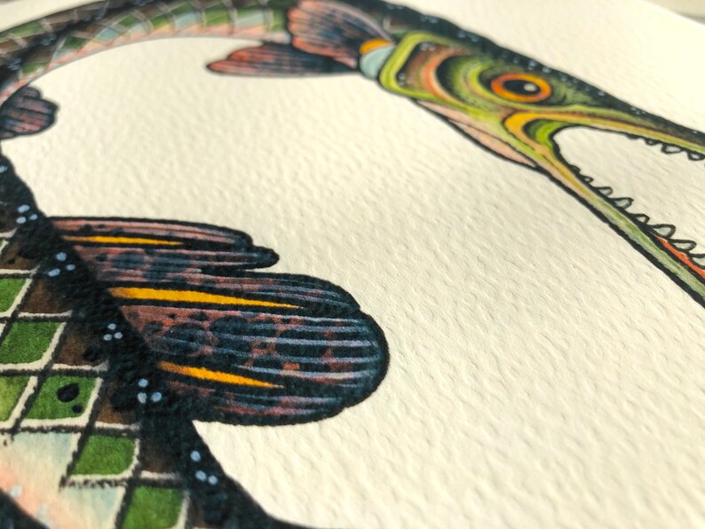 Gar Fish 8"x10" Giclee Print of A Watercolor Painting. Freshwater Art ...