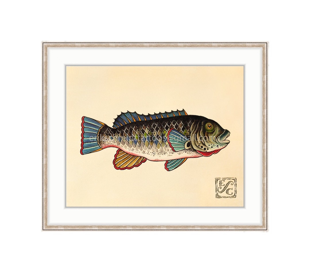 Tautog Fish 11x14 Giclee Print of A Watercolor Painting for the ...