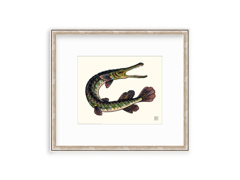 Gar Fish 8"x10" Giclee Print of A Watercolor Painting. Freshwater Art ...
