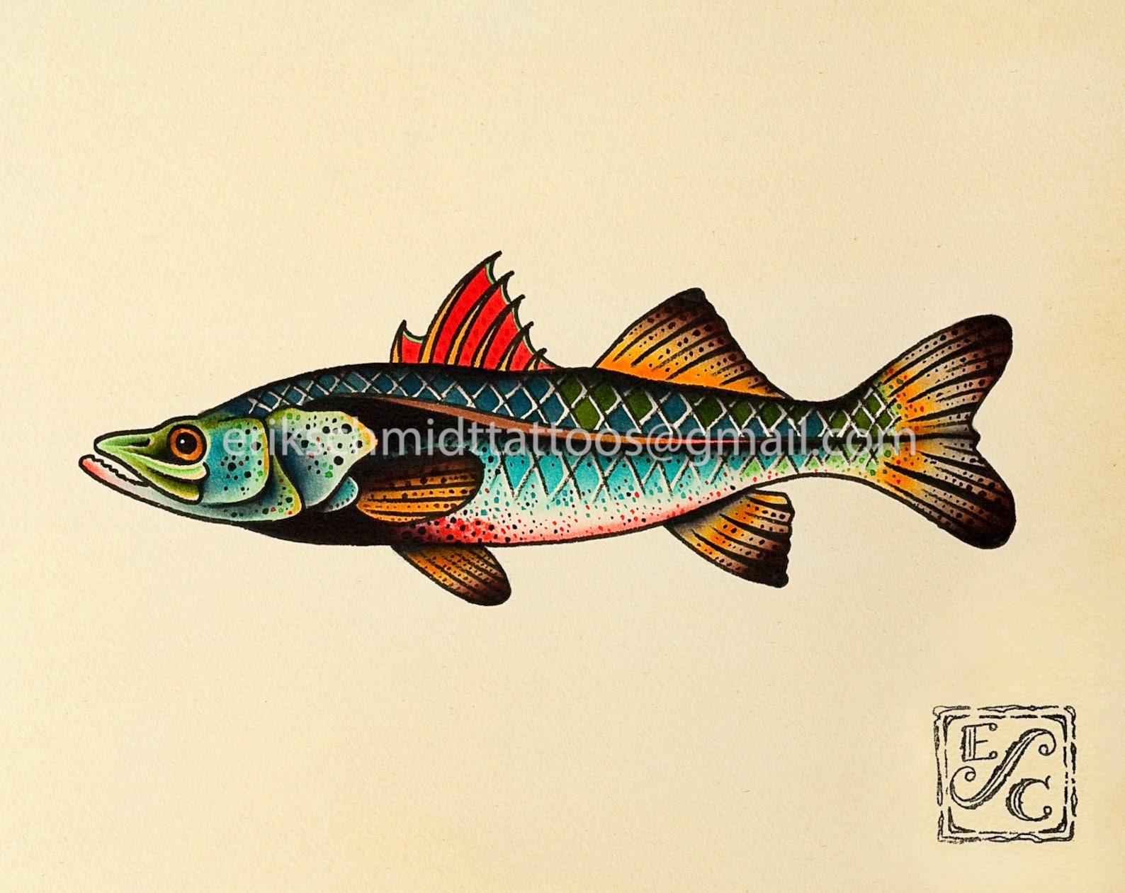 Snook Fish 11x14 Giclee Print of A Watercolor - Etsy
