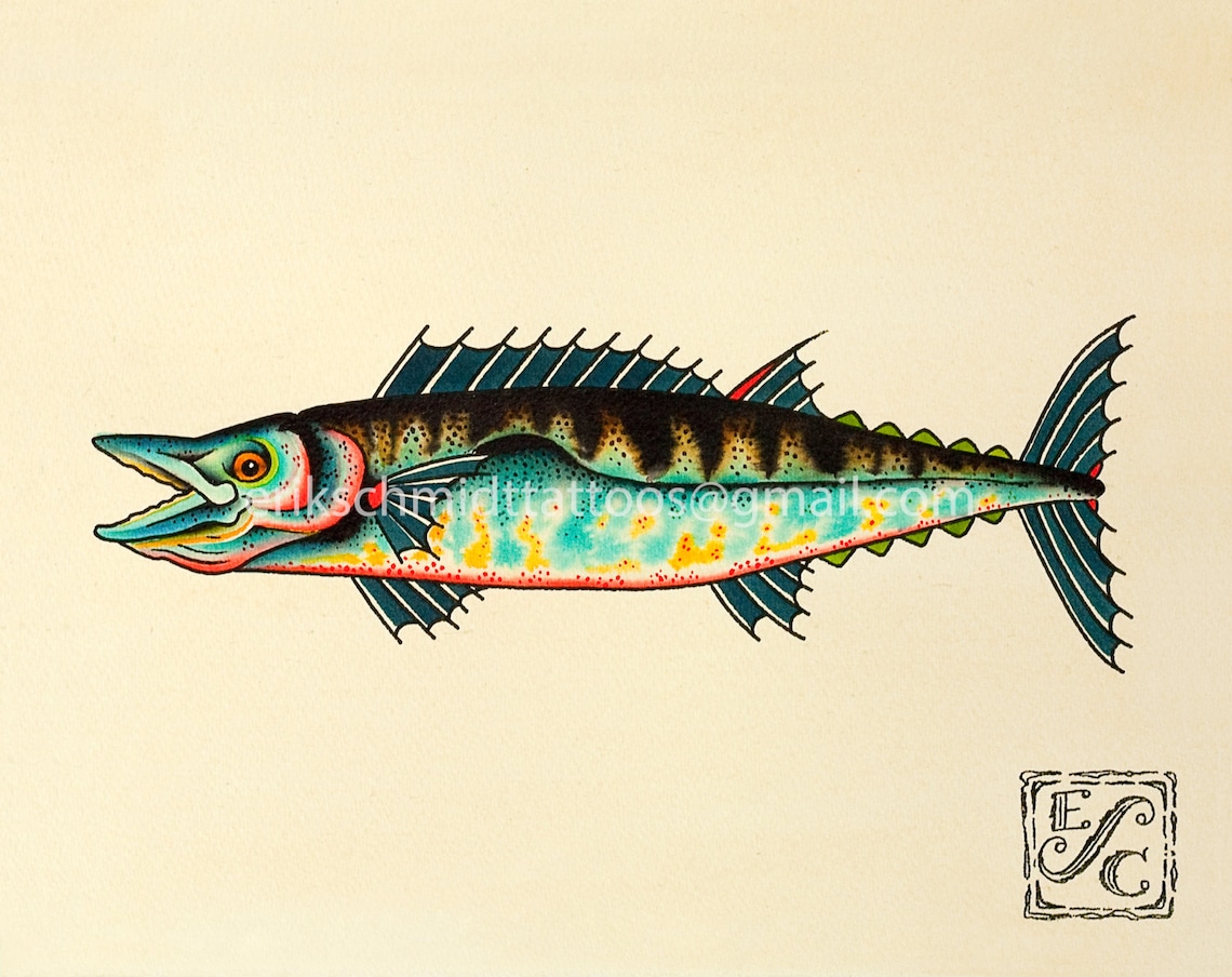 Wahoo 11x14 Giclee Print of A Watercolor Painting - Etsy