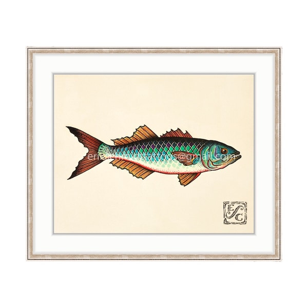 Shad Print - Etsy