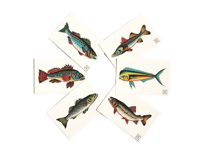 12 Postcard Set: First Edition. Watercolor Fish Paintings. 6" X 4". for ...
