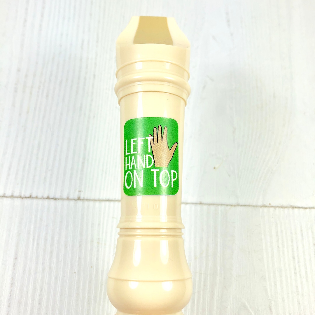 Sticker for Music Classroom, Glossy Sticker, Recorder Sticker, Gift for ...
