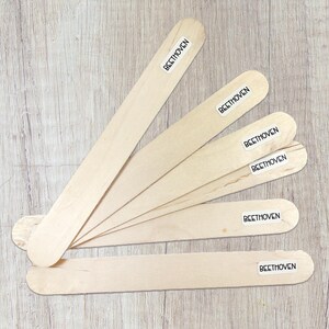 Music Composer Puzzle, Popsicle Stick, Elementary Music Activity, Music ...
