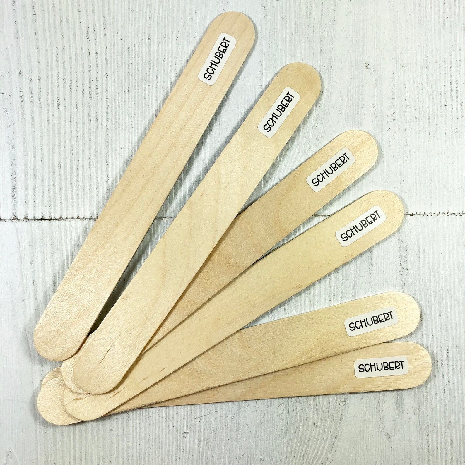 Composer Puzzle for Music Teachers Wooden Puzzle Music - Etsy