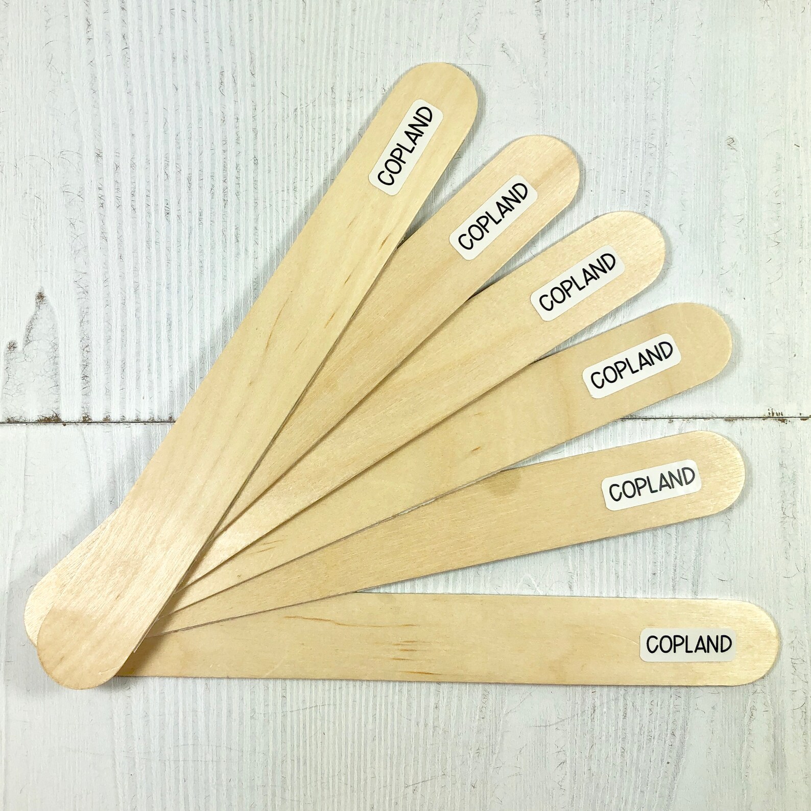 Composer puzzle for music teachers wooden puzzle music | Etsy