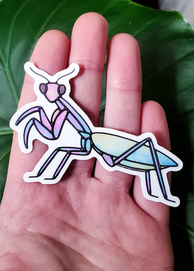 Rainbow Iridescent Pink Praying Mantis Stained Glass Sticker - 3 ...
