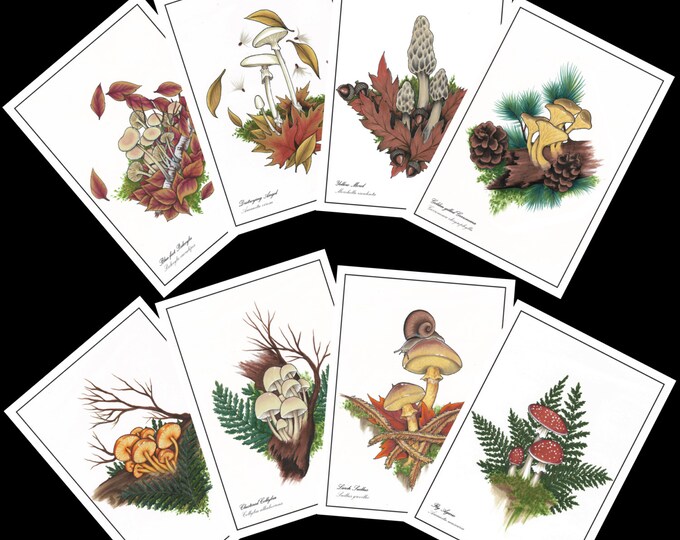 Mushroom Postcard Set Wild Mushrooms Stationary Postcard - Etsy