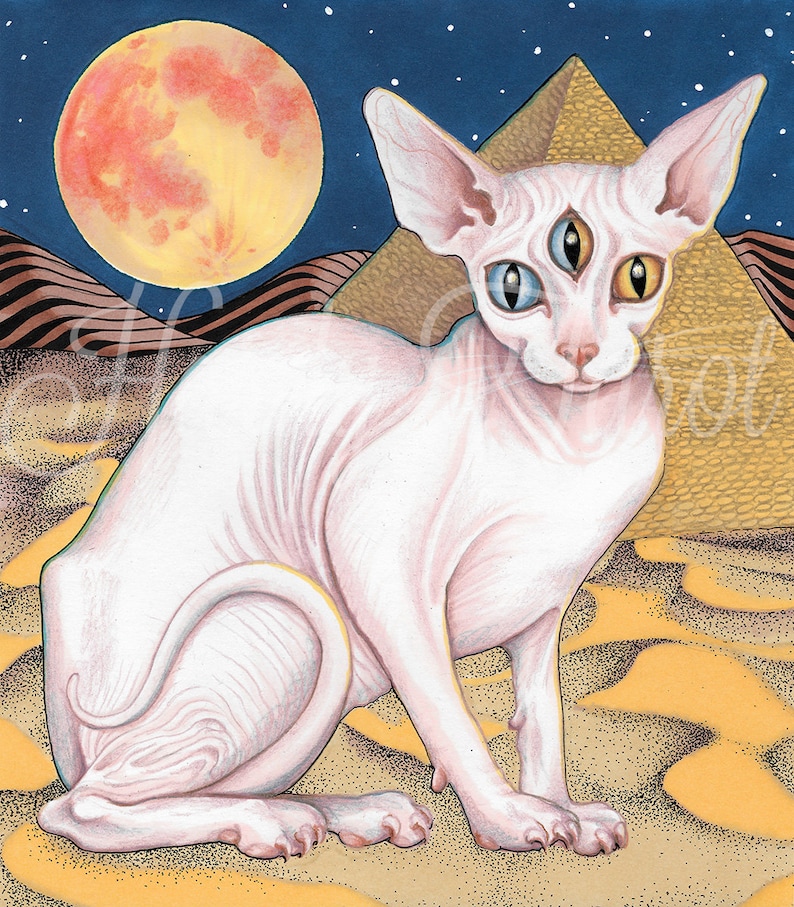 Sphinx Cat Print - Psychedelic Art, Metaphysical Art, Hairless Cat, Art ...