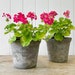 A Pair of English Composite Garden Pots With Perfect Patina! - Etsy