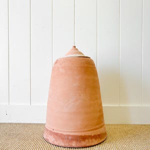 A Large English Garden Rhubarb Forcer - Etsy