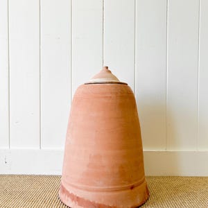 A Large English Garden Rhubarb Forcer - Etsy