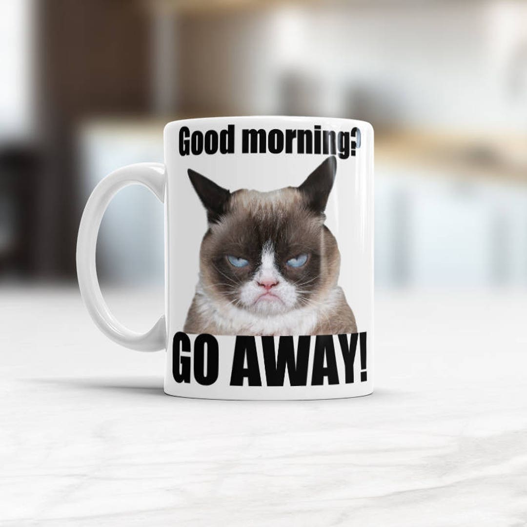 Good Morning Go Away Grumpy Cat Mug Funny Rude Mug, Hilarious Cat Gift ...