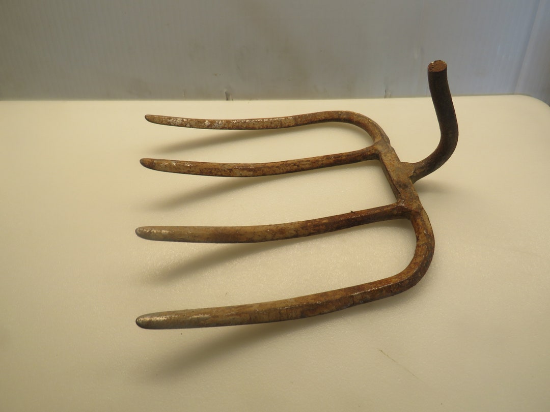 Vintage Primitive Hand Forged Farm Tool Potato/clam Rake Head - Etsy