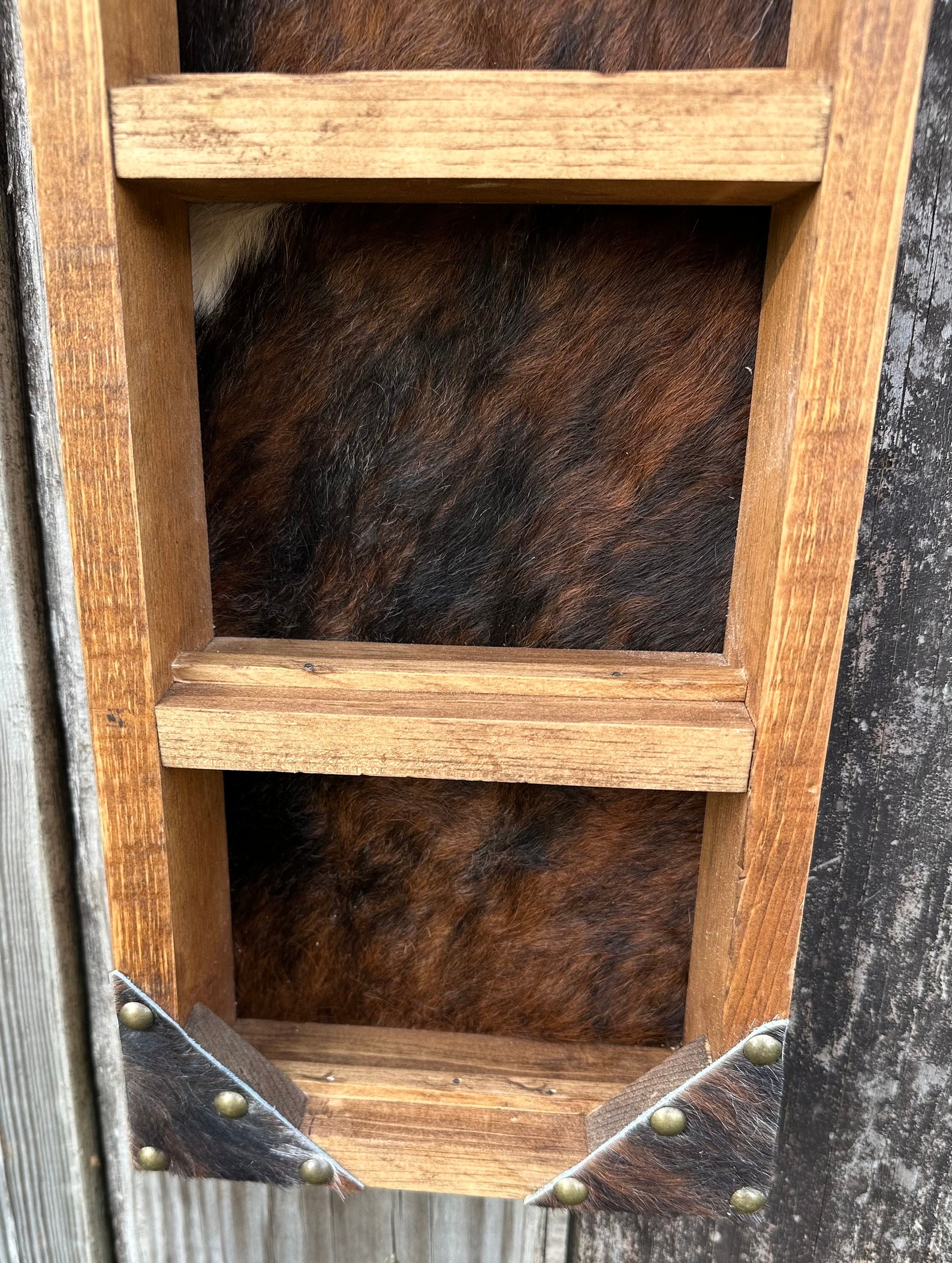 Trophy Buckle Case - Etsy